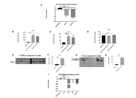A Differential Expression Based On Quantitative Pcr For Complement C3 Download Scientific