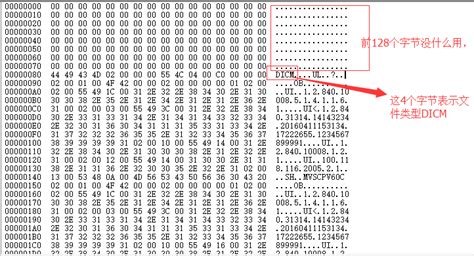 clearcanvas源码解析2：读取dcm文件 csdn博客
