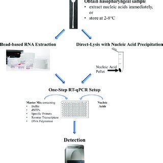 Scheme Of Strategies For RNA Isolation Modified Pictures Of InnuPREP Download Scientific