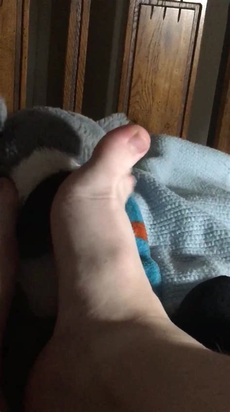 Foot Sniffing Plushie ThisVid Com Foot Sniffing Plushie ThisVid Com