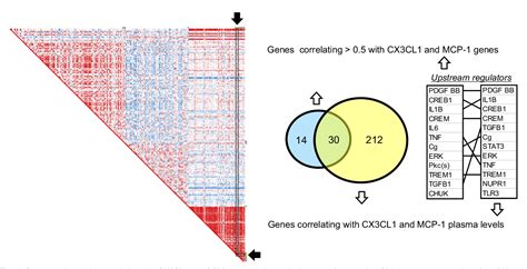 Figure 1 From Identification Of Human Exercise Induced Myokines Using