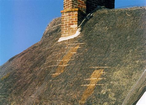 A Beginners Guide Thatching