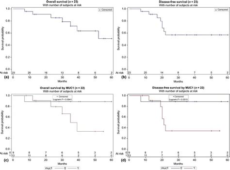 Liver Left Hepatectomy Surgical Resection Specimen Showing A Large Download Scientific Diagram