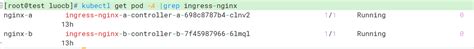 Nginx Ingress Nginx Ingress
