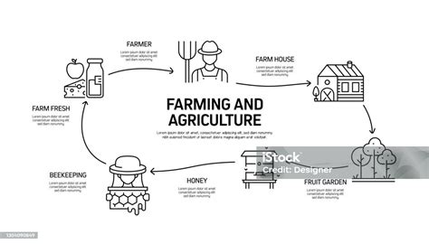 Farming And Agriculture Related Process Infographic Template Process Timeline Chart Workflow