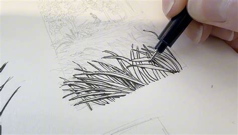 How To Draw Grass With Pen And Ink Longstride Illustration