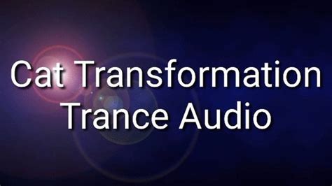 Cat Transformation Porn Videos Clips4sale