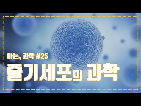줄기세포 Stem Cell 로 어떻게 난치질환을 치료할 수 있울까 미래의학기술로 꼽히는 줄기세포에 대해 아는 척 해보자