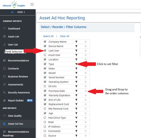 Asset Ad Hoc Report Builder Lifecycle Insights
