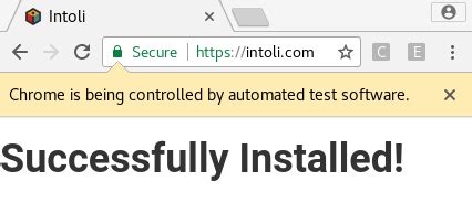 Python Selenium Chrome Extension