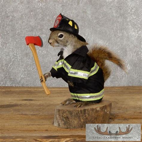 Firefighter Squirrel Novelty Taxidermy Mount For Sale Creel Taxidermy