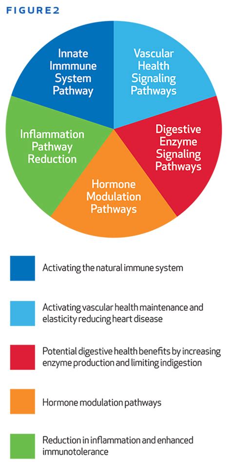 Gene Study Asea Redox And Signaling Pathway Genes Asea Global Science