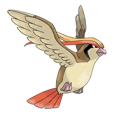 Pidgeot Pokémon Pokémon Pokopia Wiki