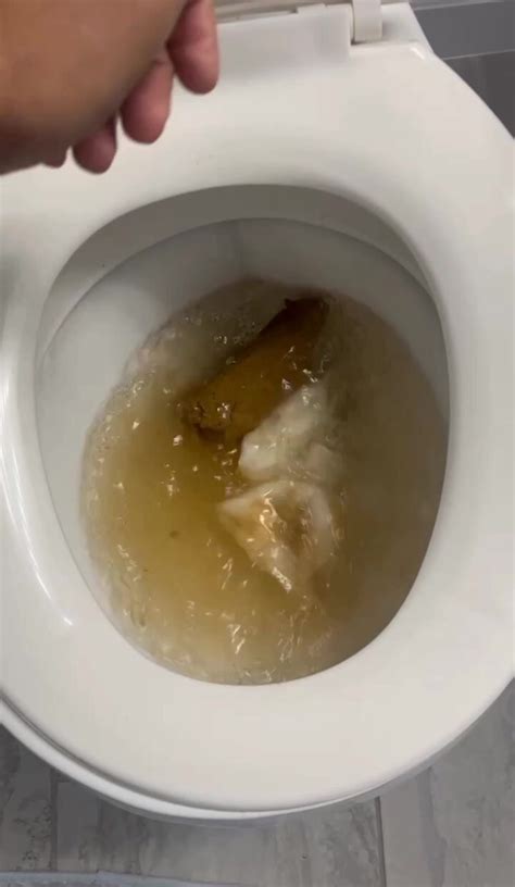Flushing The Big And Thick Log ThisVid