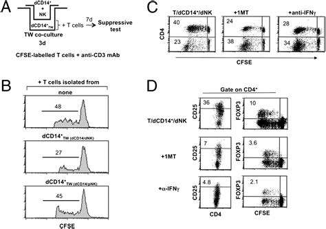 Crosstalk between decidual NK and CD14+ myelomonocytic cells results in induction of Tregs and ...