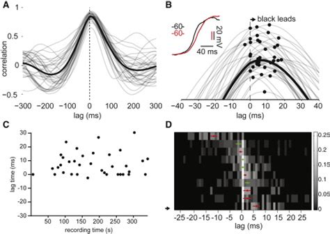 Correlation Of Synaptic Inputs In The Visual Cortex Of Awake Behaving
