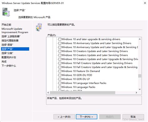 部署windows Server的wsus服务 Csdn博客