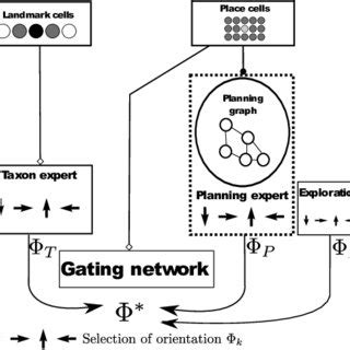 Overview Of The Computational Model Different Strategies Download Scientific Diagram