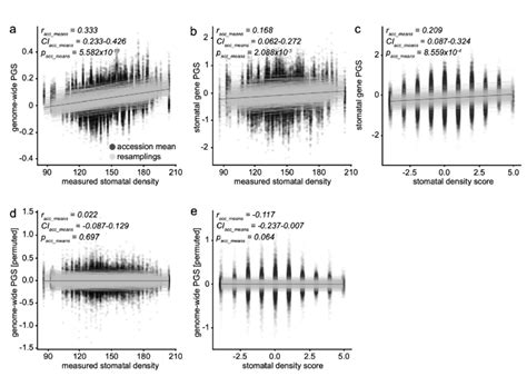 Fig S5 Pgs Correlates With Measured Stomatal Density And Stomatal Download Scientific Diagram