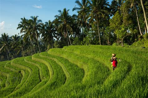 Journey Through Java Tour Trailfinders