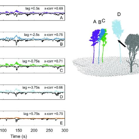 Above Tls Data Showing Trees Near The Canopy Walkway The Coloured