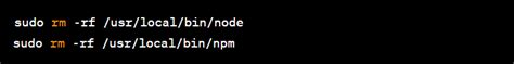 How To Uninstall Node Js On Different Operating Systems VisionX