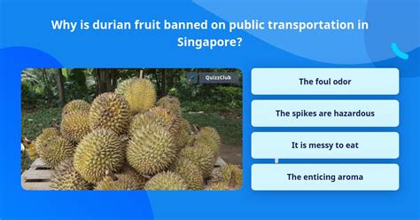 Why Is Durian Fruit Banned On Public Trivia Questions Quizzclub