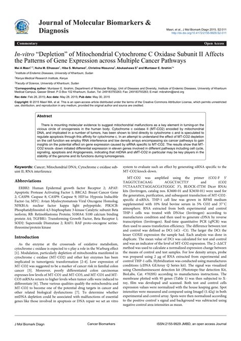 Pdf In Vitro Depletion Of Mitochondrial Cytochrome C Oxidase
