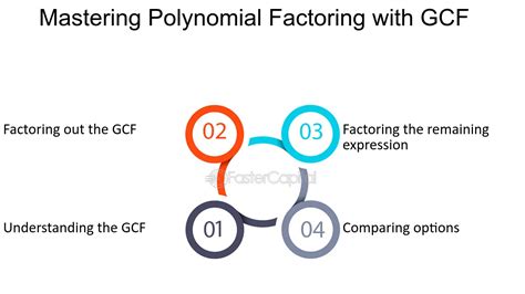 Mastering Polynomial Equations Real Imaginary Solutions Revealed