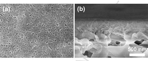 Figure 2 From Selective Swelling Of Polysulfonepolyethylene Glycol Block Copolymer Towards