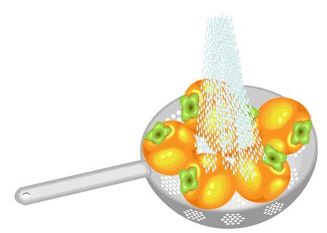 รูปภาพfructify เลือกดูภาพถ่ายสต็อก เวกเตอร์ และวิดีโอ580 Adobe Stock