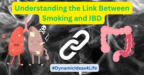 Understanding The Link Between Smoking And Ibd Dynamic Ideas 4 Life