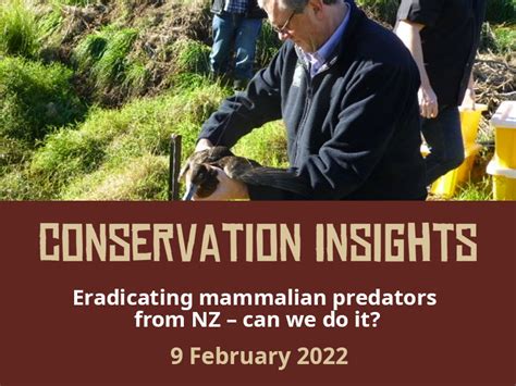 Eradicating Mammalian Predators From Nz Can We Do It African