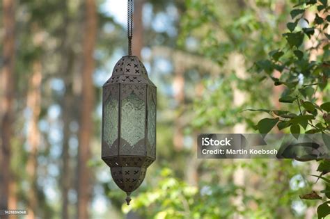 금속과 유리의 숲 앞에있는 트랙에 램프를 매달아 놓습니다 동양 가공 0명에 대한 스톡 사진 및 기타 이미지 0명 검은색 경관 Istock