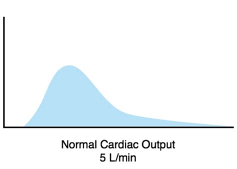 cardiac output w3 flashcards quizlet