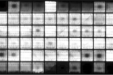 Fault Pattern Potential Induced Degradation Pid In Crystalline Solar