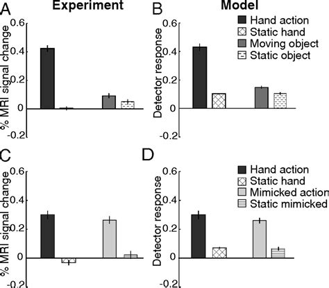 Physiologically Inspired Model For The Visual Recognition Of Transitive Hand Actions Journal