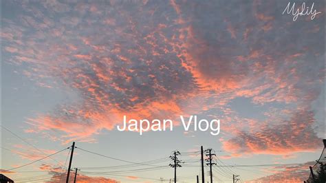 Japan Vlog 일본 시골 동네 새벽 산책하기 떠오르는 해를 바라보며 하루 시작 Youtube