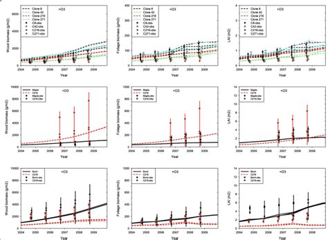 comparison of modeled values dashed lines show each replicate with