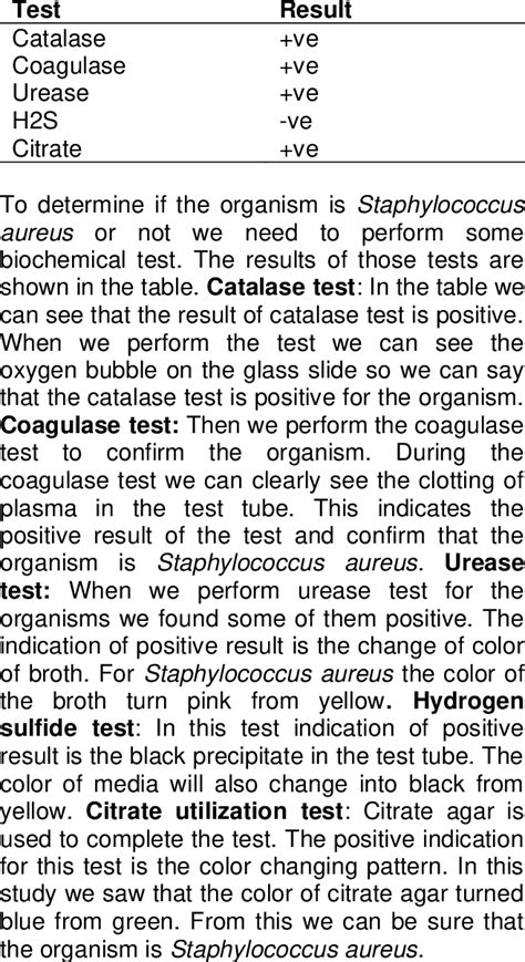 Biochemical Tests For Staphylococcus Aureus Download Scientific Diagram