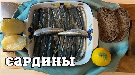 Сардины, такого вы ещё не пробовали! - YouTube