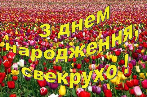 З днем народження свекрухо українською