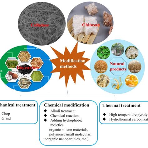 Modification Methods For Biomass Materials Download Scientific Diagram
