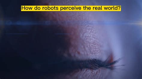 How Do Robots Perceive The World R Robotics