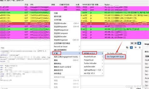 武装burp Suite工具：apikit插件接口安全扫描apikit Burp插件 Csdn博客