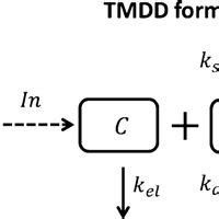 Schematic Of The Single Tmdd Model Described By Eqs 1 3 Download