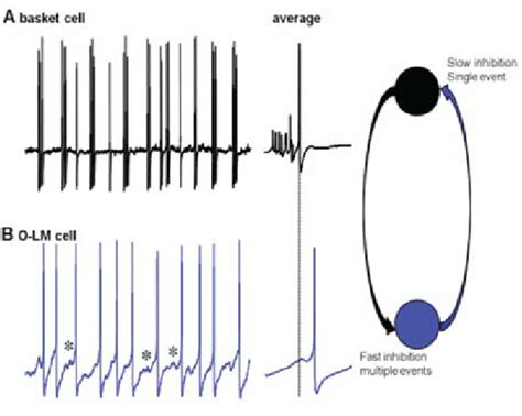 theta rhythms in heterogeneous interneuronal networks connected by slow