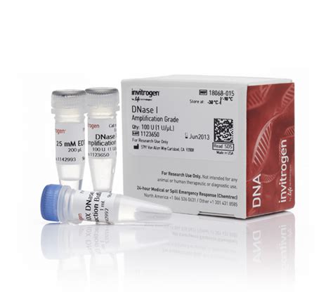 Superscript™ Iii Reverse Transcriptase 货号18080044价格 品牌 Invitrogen 丁香通