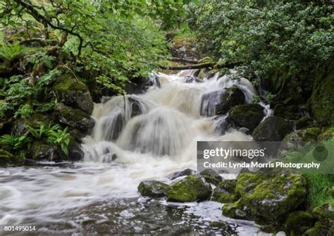 Morris Reservoir Photos And Premium High Res Pictures Getty Images