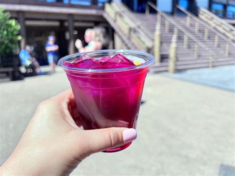 Violet Sake From Epcot With Recipe